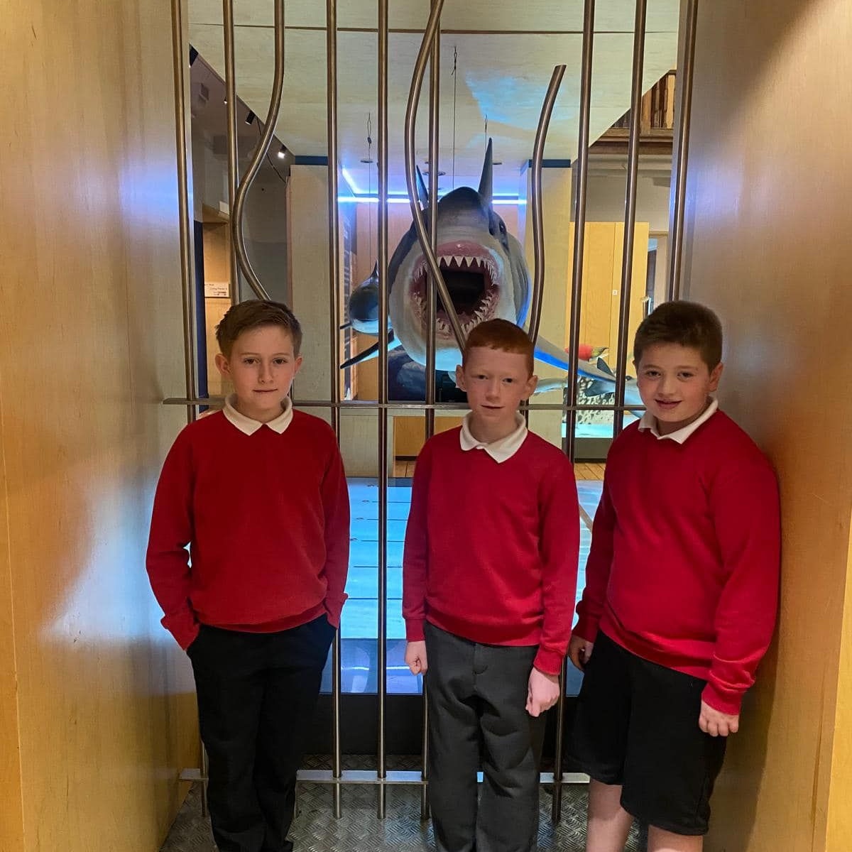 High Spen Primary School - Great North Museum for Y3 and Y5.